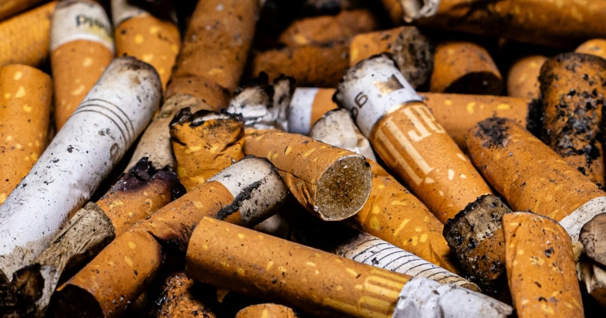 Smoking in Germany 2025: Nearly One in Five Adults Light Up