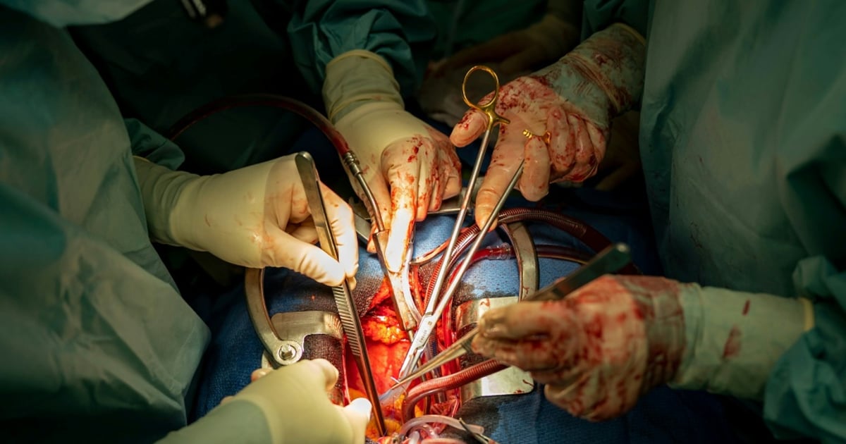 Germany Sees Slight Rise in Organ Donations in 2025