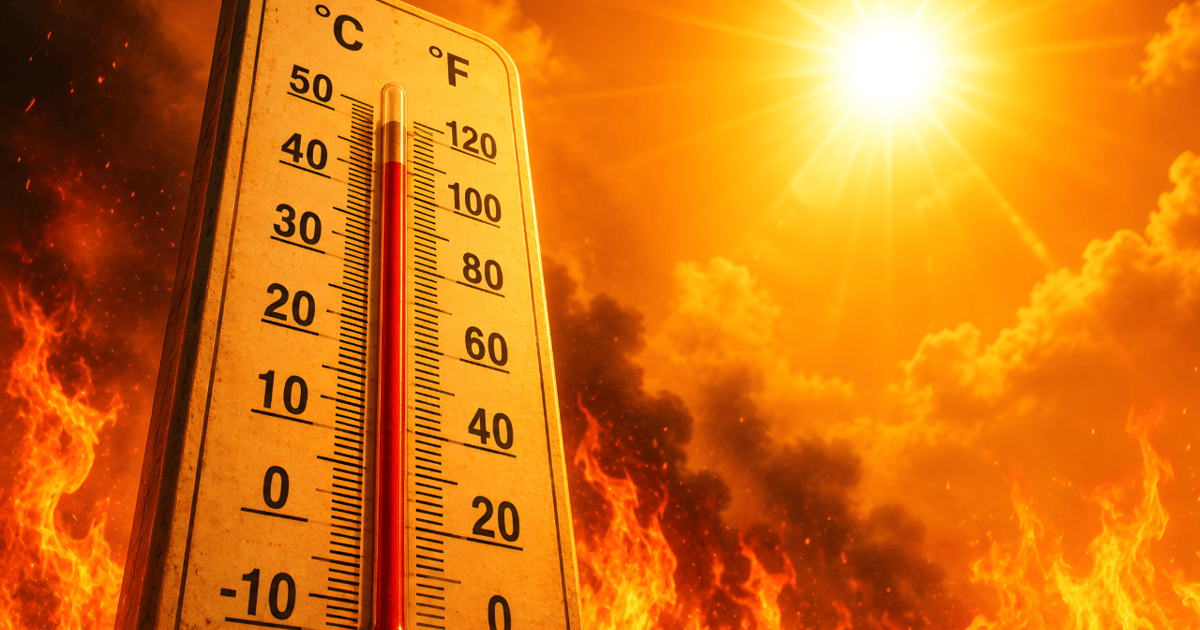Germany is Not Prepared for Extreme Heat Catastrophe