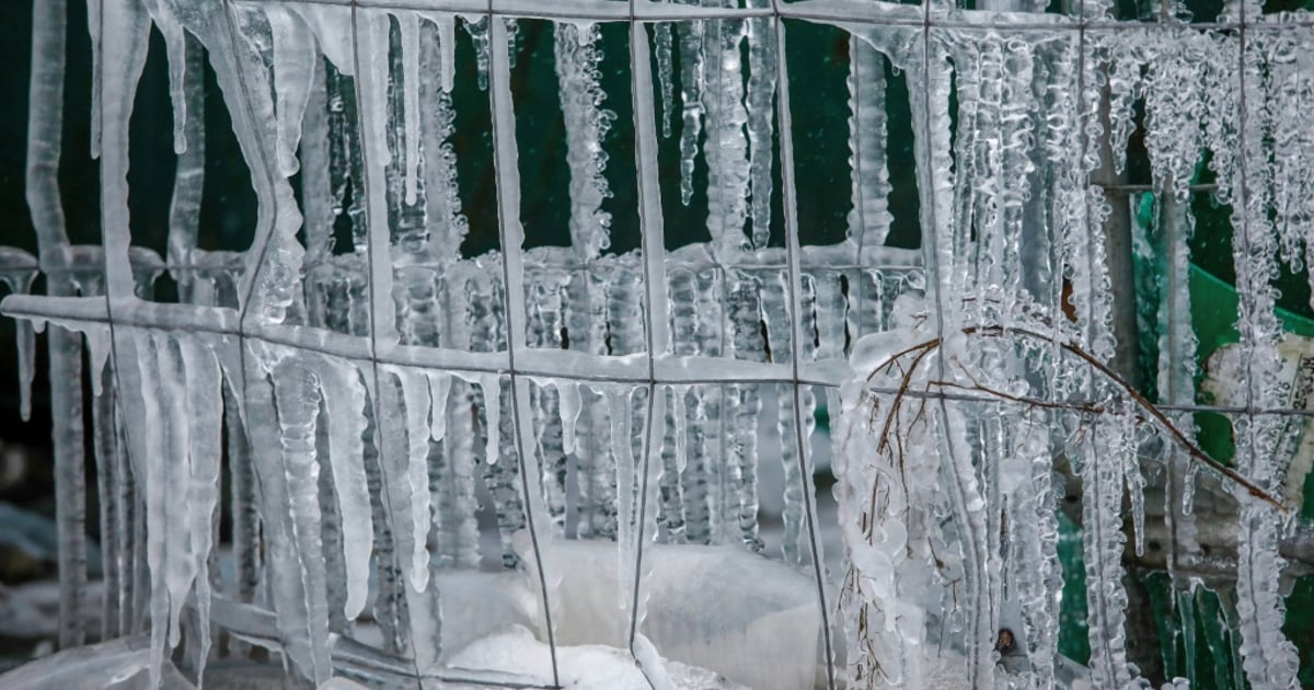 Black Ice Eases in Western Germany, Roads Still Slippery in East