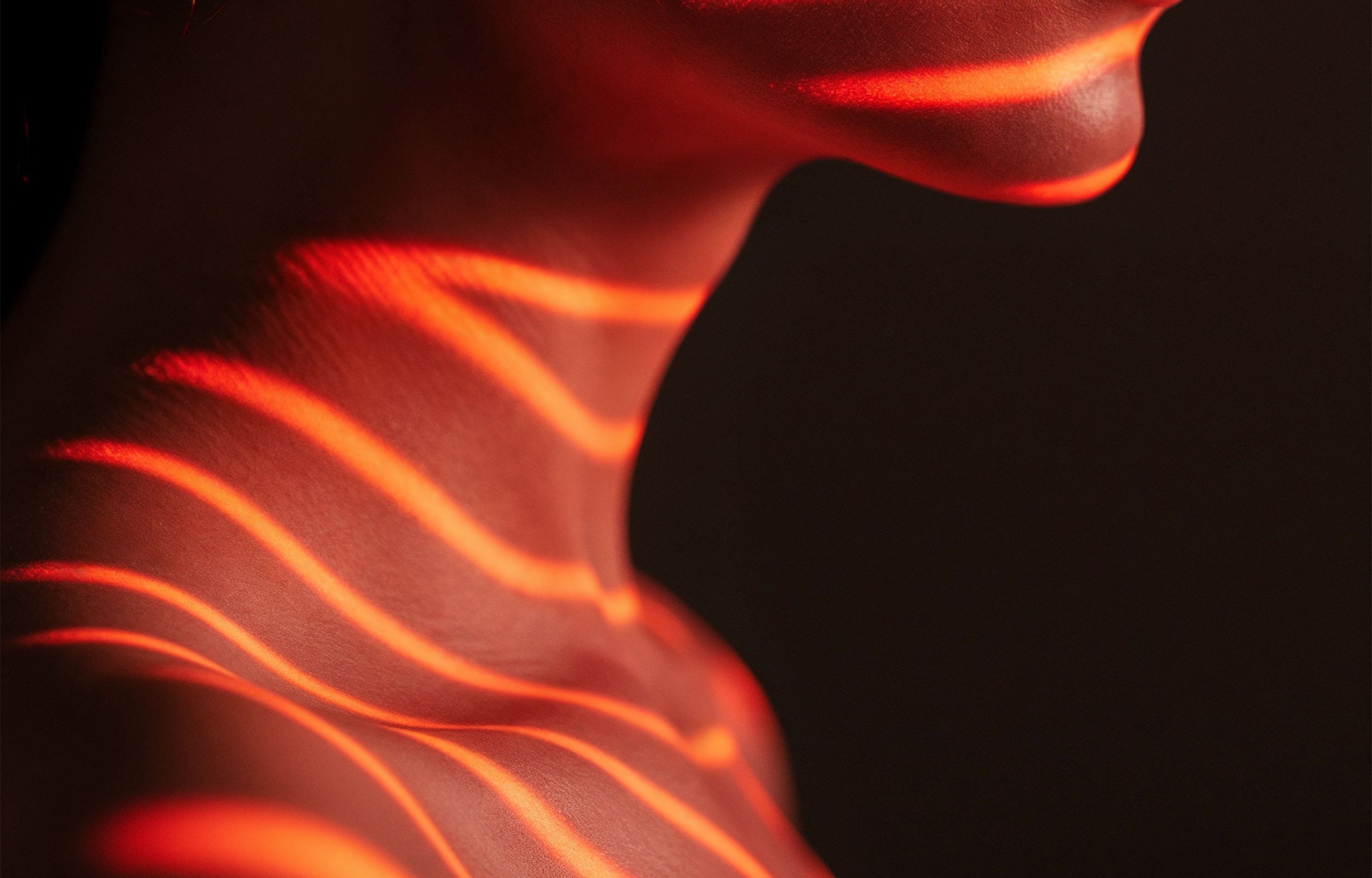 wellsystem – Smart Wellness with hydrotherapy & Red Light Th | CEN Wellsystem