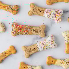 Winfield's Chocolate Bar - Dog Treats