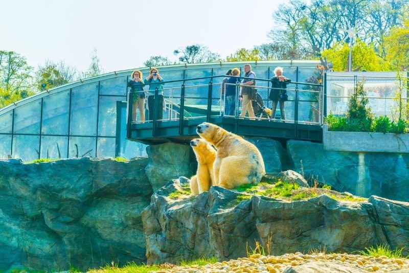 50 Best Zoos in the World 2024 - TourScanner