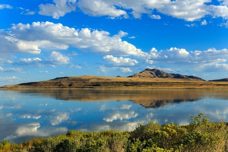 65 Fun Things to do in Salt Lake City, Utah - TourScanner