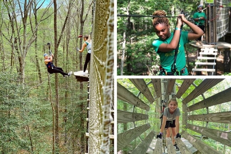 62 Fun Things to Do in Raleigh, North Carolina - TourScanner