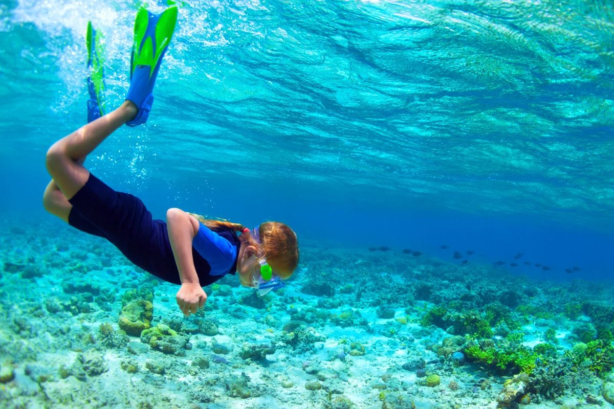 25 Best Snorkeling Spots in Oahu, Hawaii (with Map) - TourScanner