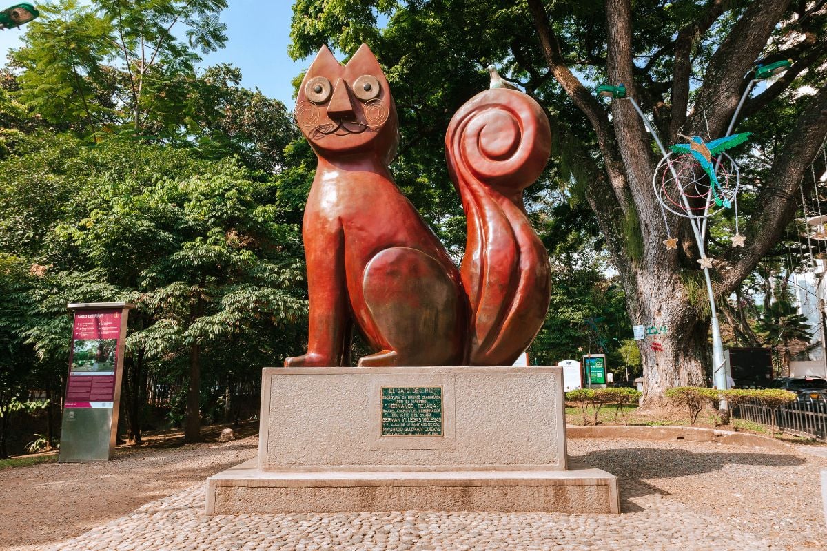 45 Fun Things to Do in Cali, Colombia - TourScanner