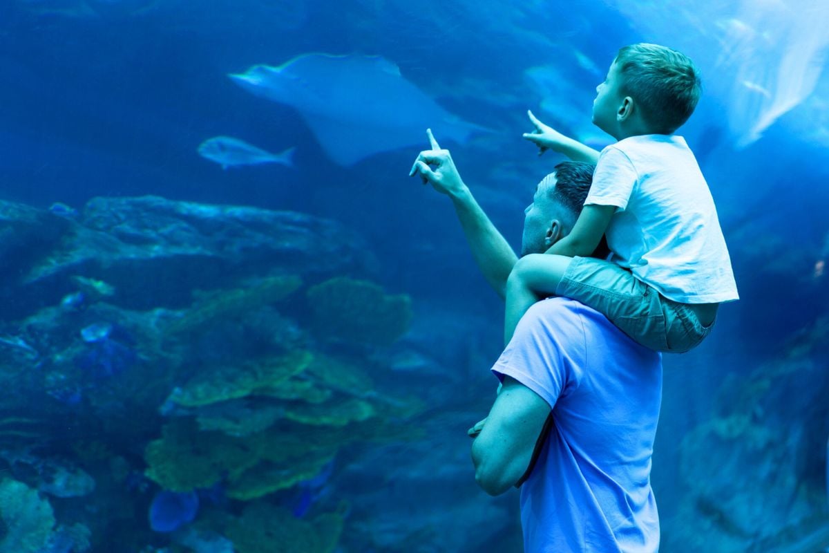 44 Fun Things to Do in Cebu, Philippines - TourScanner