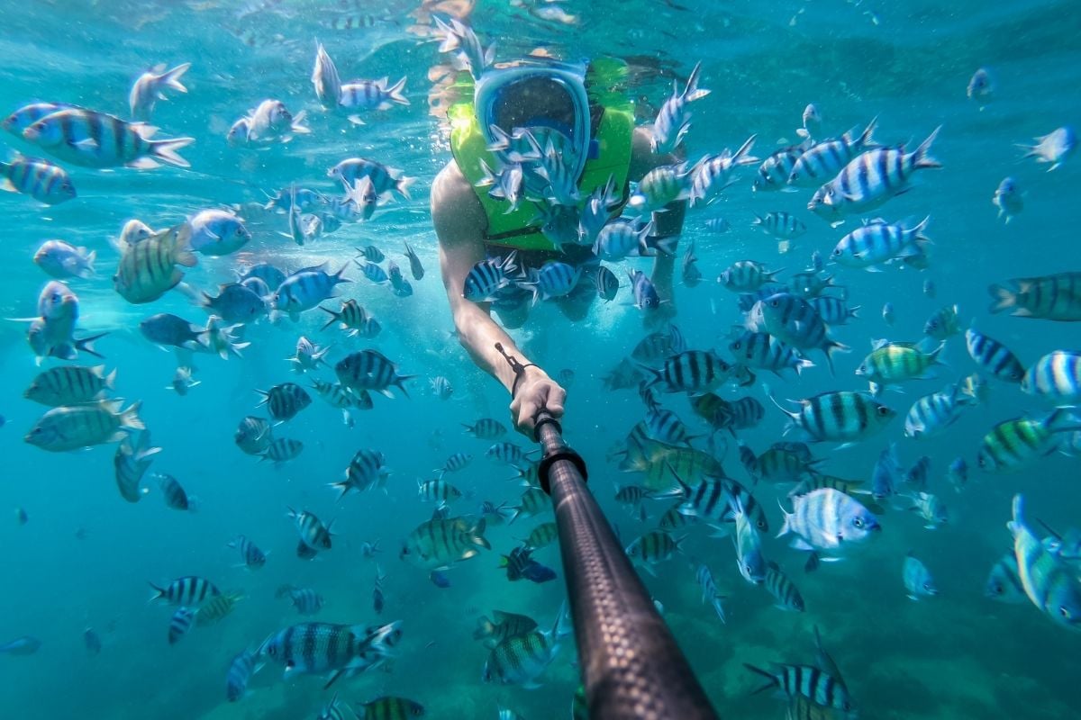 25 Best Snorkeling Spots in Bali - Tips & Map - TourScanner