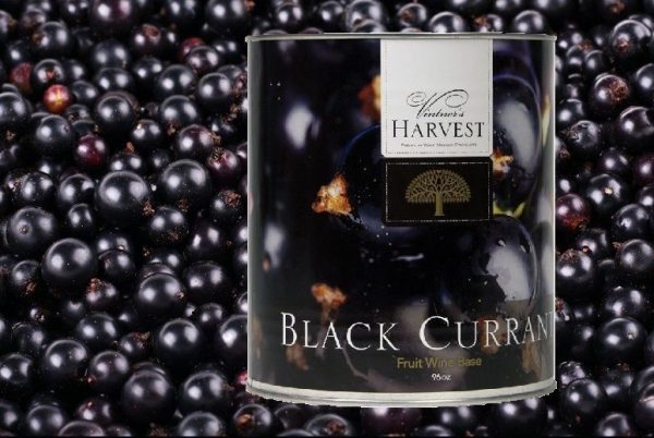 Best Fruit Wine Base