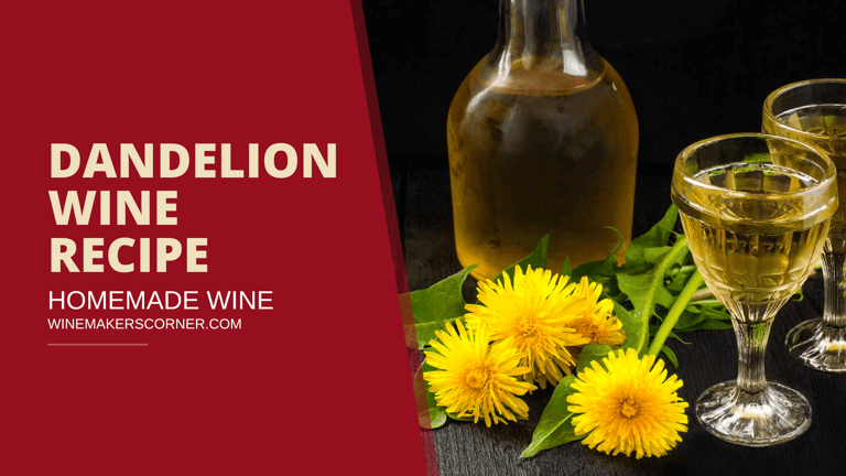 Incredible Dandelion Wine Recipe