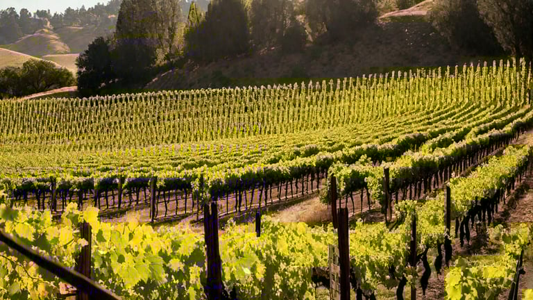 Can You Visit Josh Cellars Winery