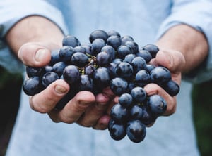 The Best Blueberry Wine Recipe