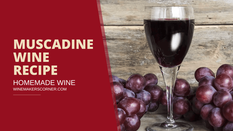 Muscadine Wine Recipe: A Step-by-Step Guide to Homemade Delight