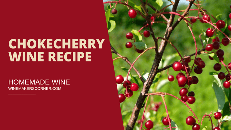 Exquisite Chokecherry Wine Recipe!