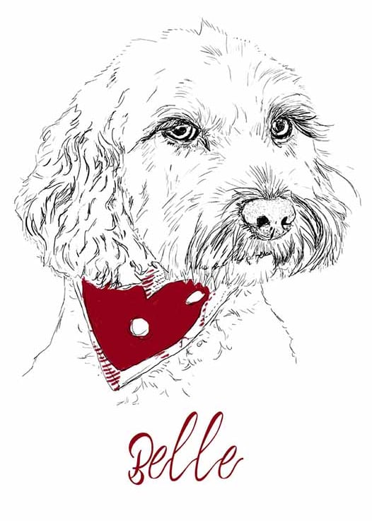 A4 Personalised cockapoo art print in red or pi... - Folksy