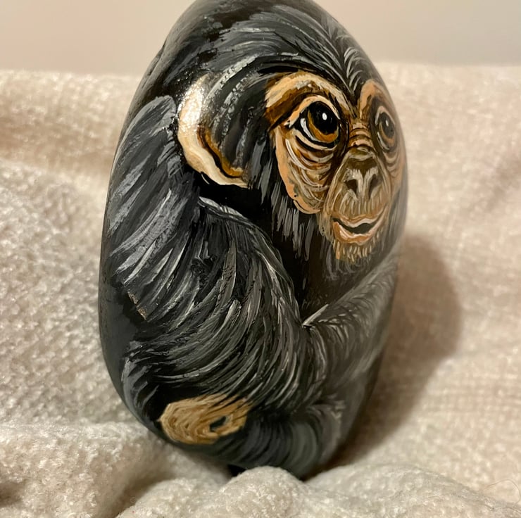 Monkey hand painted pebble garden rock art wild... - Folksy