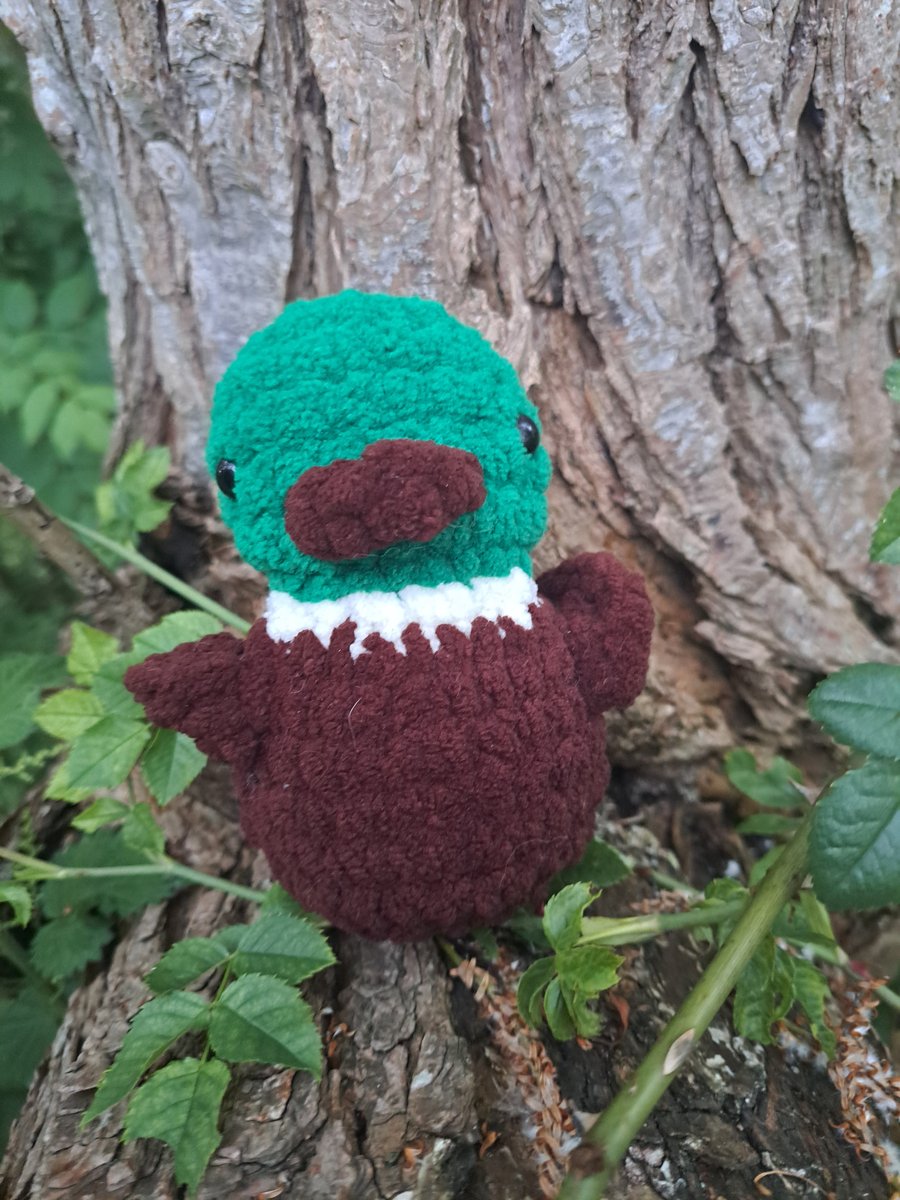 cute crochet funky mallard duck - Folksy