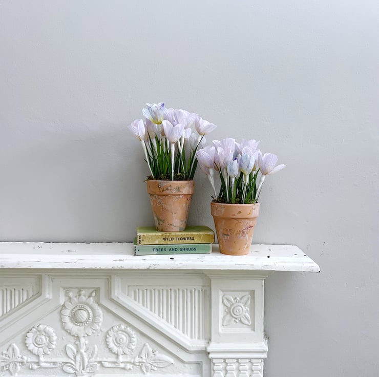 Crocus Paper Flowers for Mother's Day Gifts - Folksy