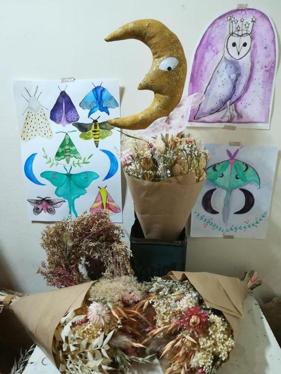Moon flower display, dried flower bunch, cosmic... - Folksy
