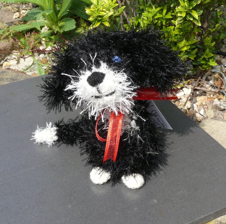 Colin the black and white Border Collie pup cro... - Folksy