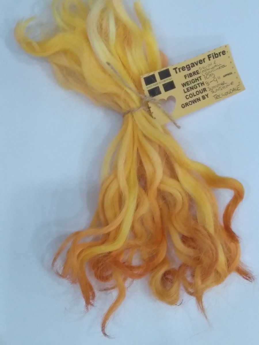 Summer Sunshine, Rare Breed Devon Cornwall Long... - Folksy