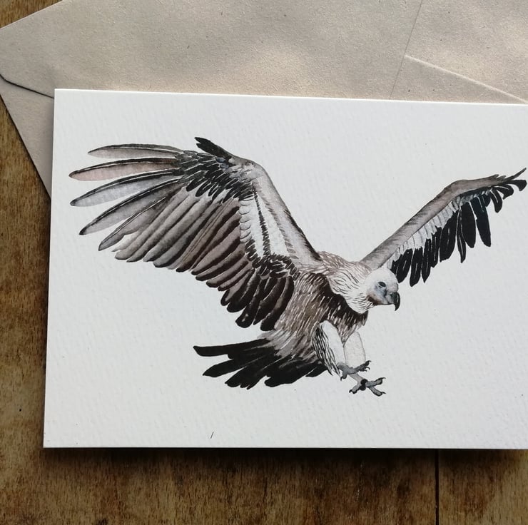 Endangered vulture card, watercolour painting o... - Folksy