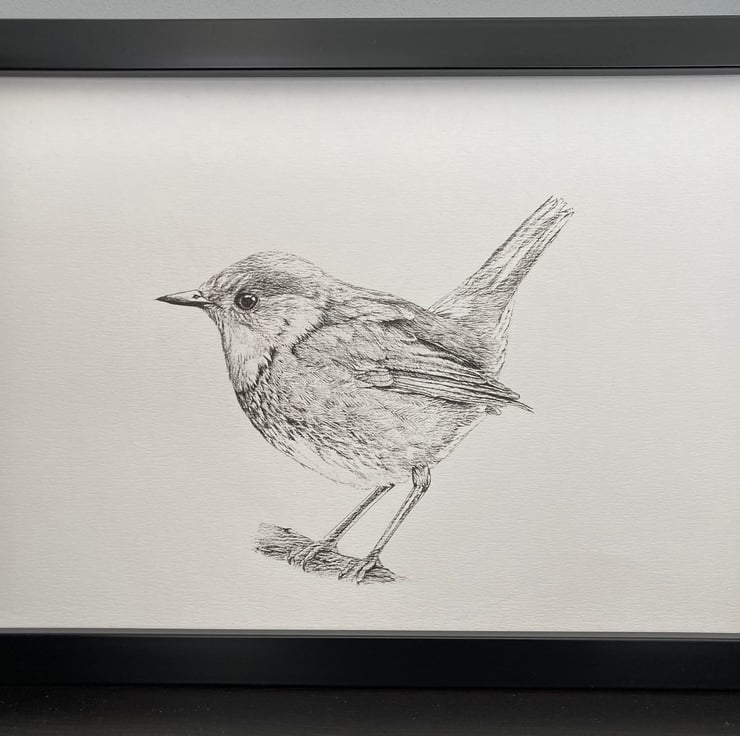A4 Robin Pen and Ink drawing ORIGINAL - Folksy