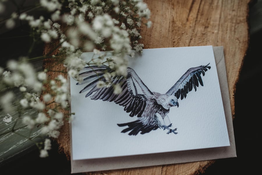 Endangered vulture card, watercolour painting o... - Folksy