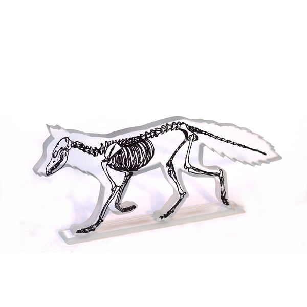 Skeleton Fox Glass Sculpture - Folksy