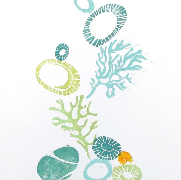 Lino print rockpool series sea shells, seaweed ... - Folksy