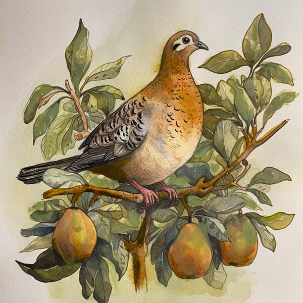 Partridge in a Pear Tree, Painting, A4, Unframed - Folksy