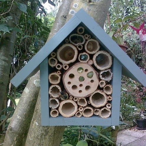 Bee Hotel and Insect House, single tier, in Wi... - Folksy
