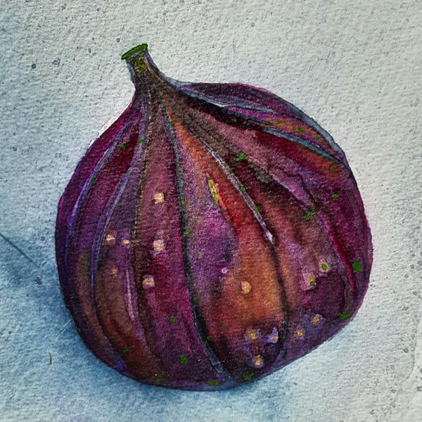 Original Watercolour Autumn Fruit Fig Painting ... - Folksy