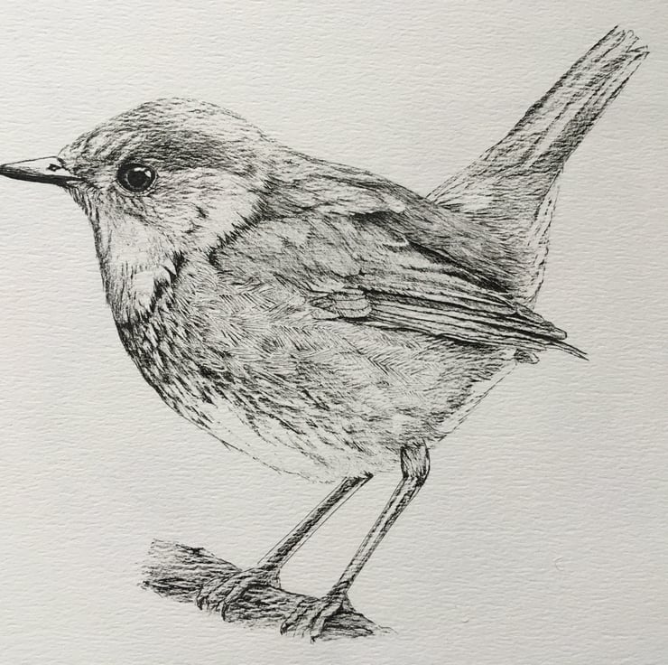 A4 Robin Pen and Ink drawing ORIGINAL - Folksy