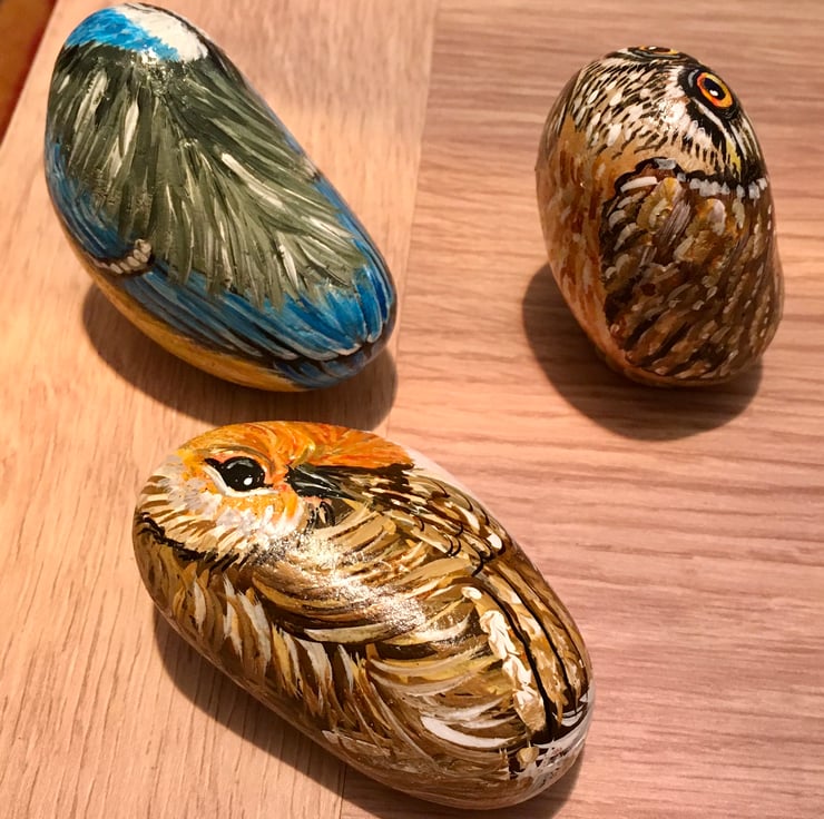 Bluetit robin owl bird hand painted rocks garde... - Folksy