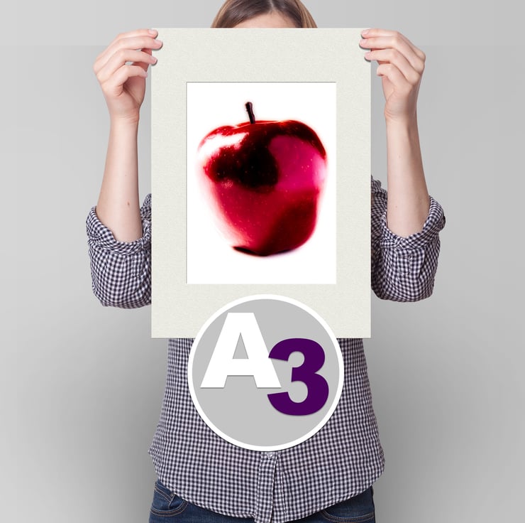 Healthy Red Amsterdam Apple - Print in A4 or A3... - Folksy