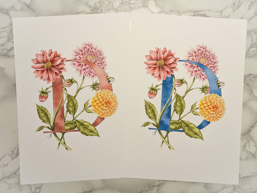 D is for Dahlia, A4 print. A Blue or pink lette... - Folksy