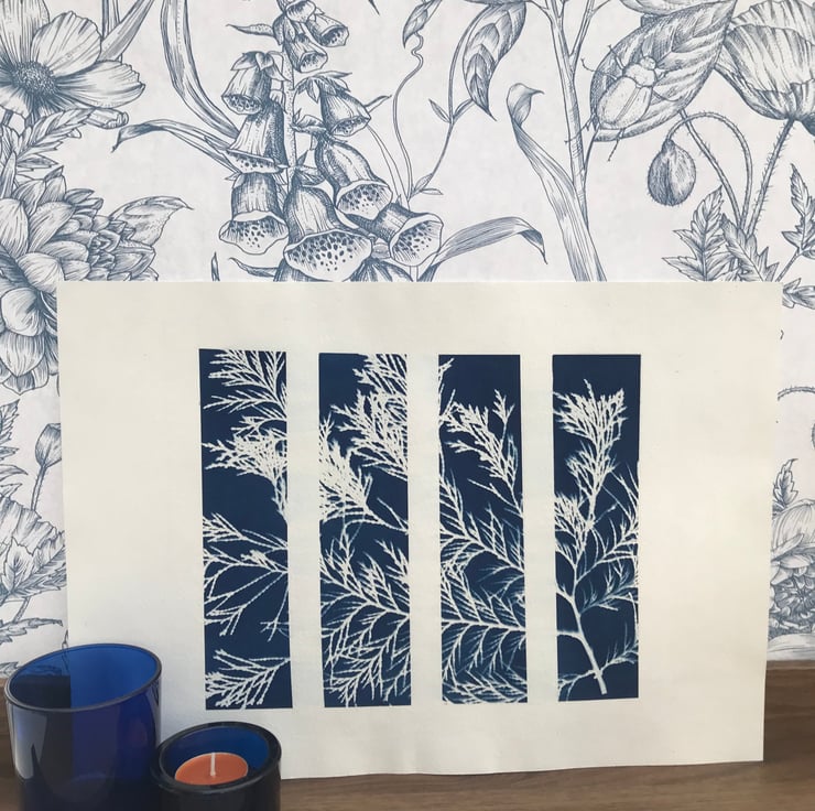 Cyanotype wall art, Botanial Art, Art for home ... - Folksy