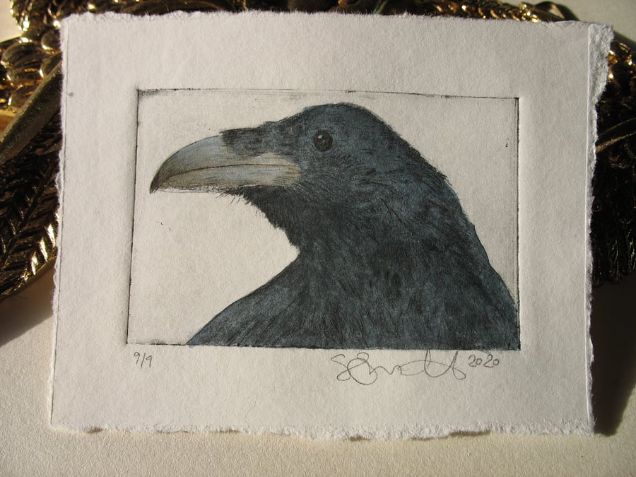 Sweet little raven drypoint etching and waterco... - Folksy