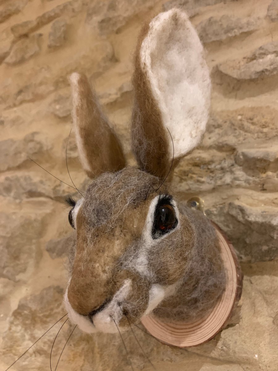 Handmade Faux Taxidermy Wild Rabbit Head - Folksy