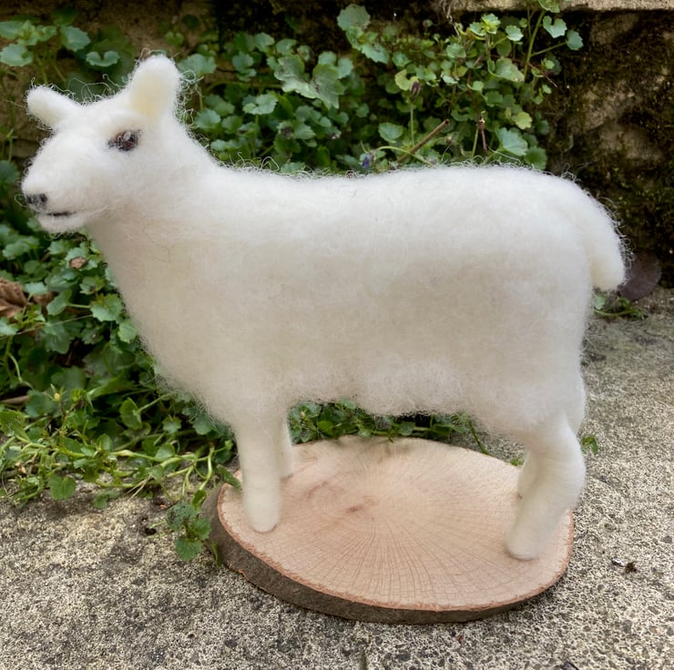 Needle felted sheep - Folksy