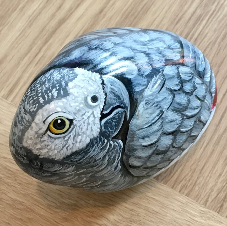 Grey Amazon parrot painted pebble garden rock a... - Folksy