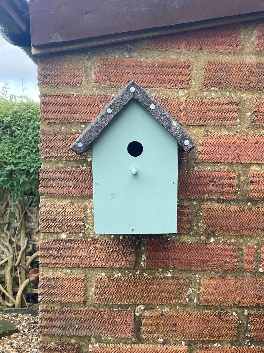 Handmade Painted Pine Wood Small Bird Nest Box ... - Folksy