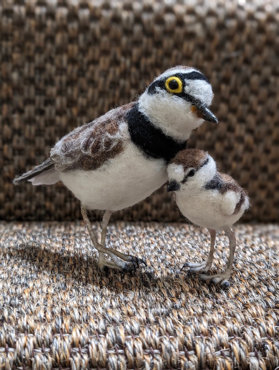 Little Ringed Plover parent and chick - Folksy