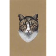 Tabby Cat Fine Art Print - Folksy