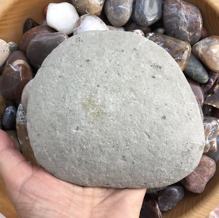 Large Double Ammonite Stone! Display, Collecta... - Folksy