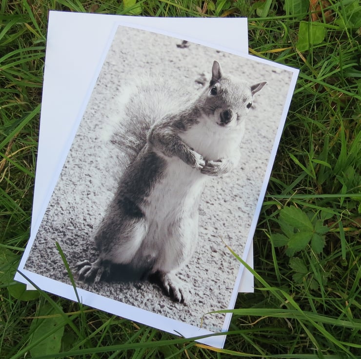 Eye Spy. A set of two cards, each featuring an... - Folksy