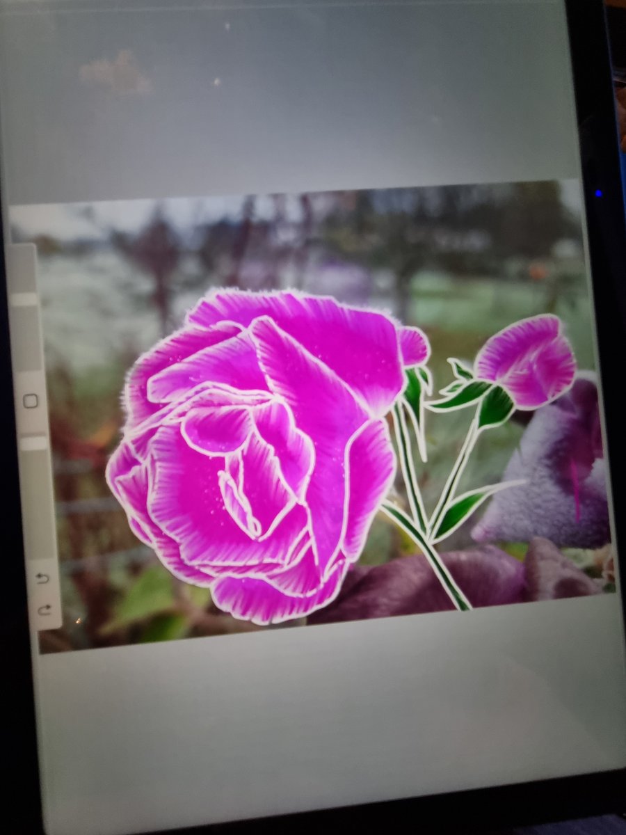 A4 Rose Print - Folksy