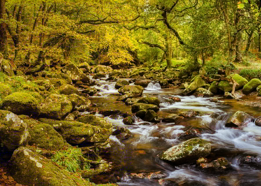 Photograph - River Plym at Shaugh Prior - Limit... - Folksy